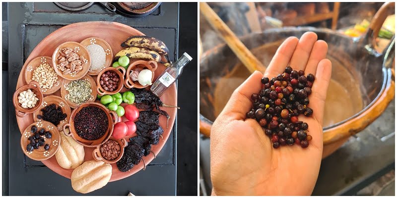 Festival Anual Gastronómico del Cahuiche, en Hidalgo