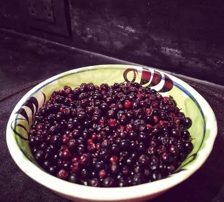 Festival Anual Gastronómico del Cahuiche, en Hidalgo