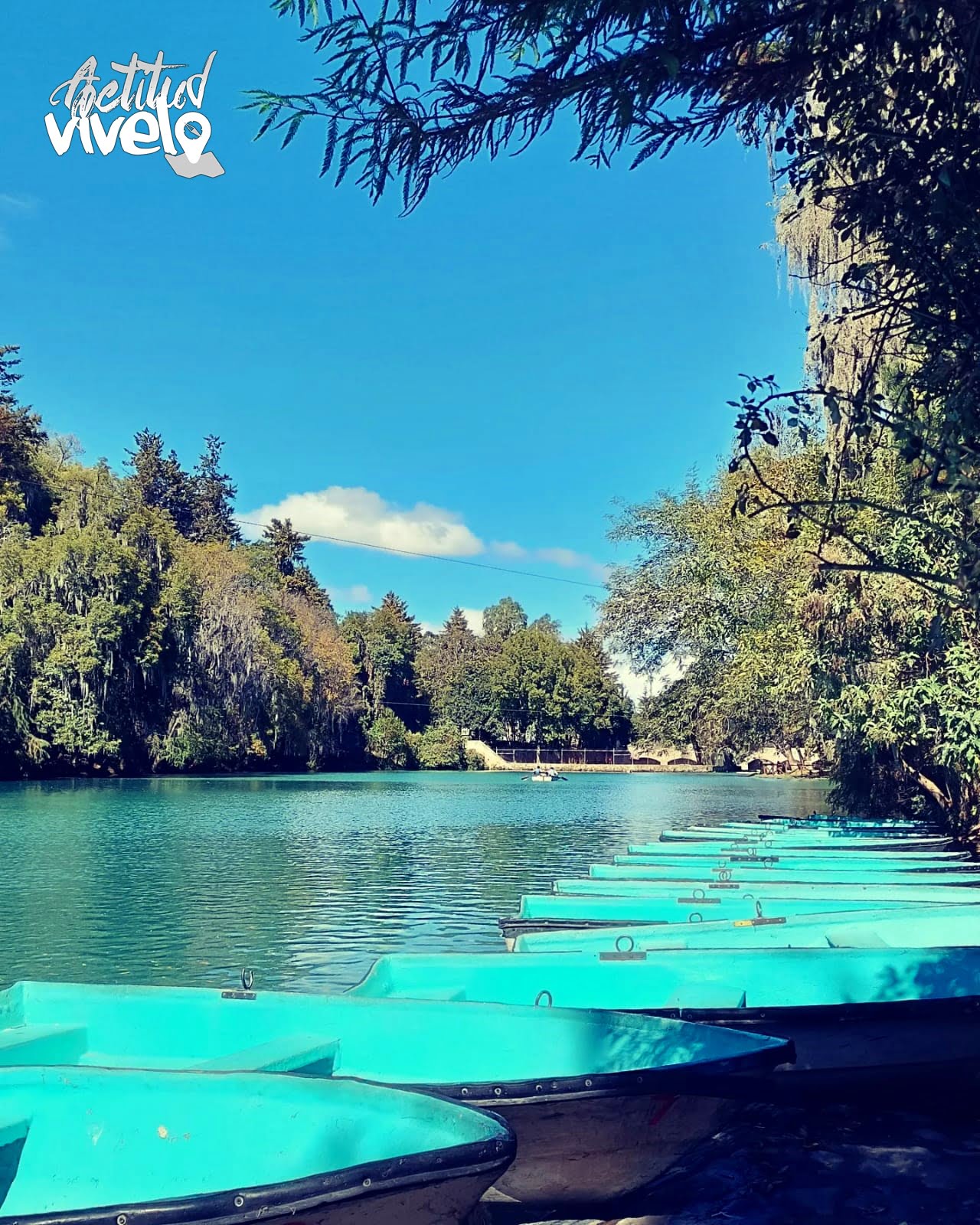 El Bosque de las Truchas, precios y actividades