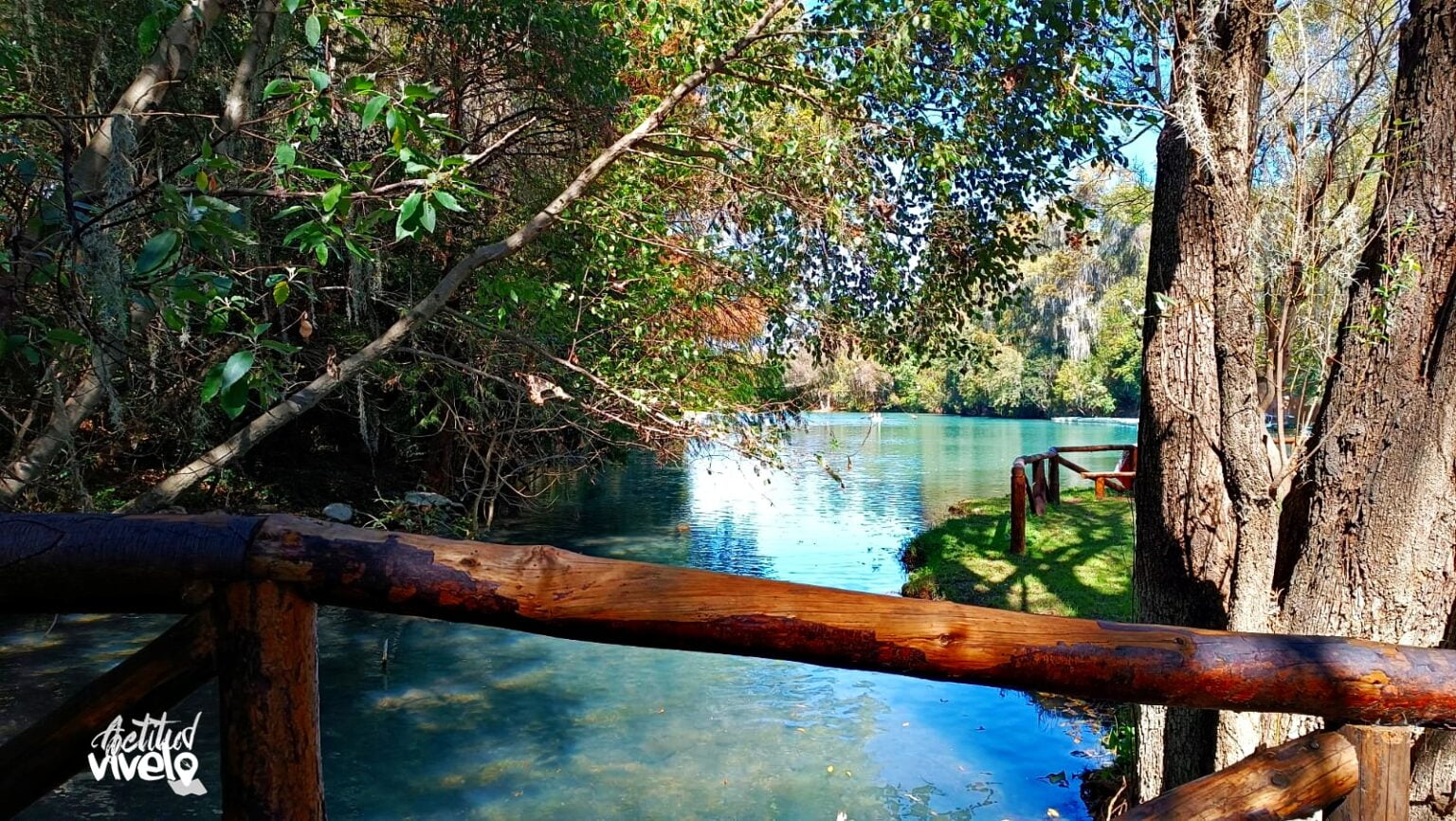 El Bosque de las Truchas, precios y actividades