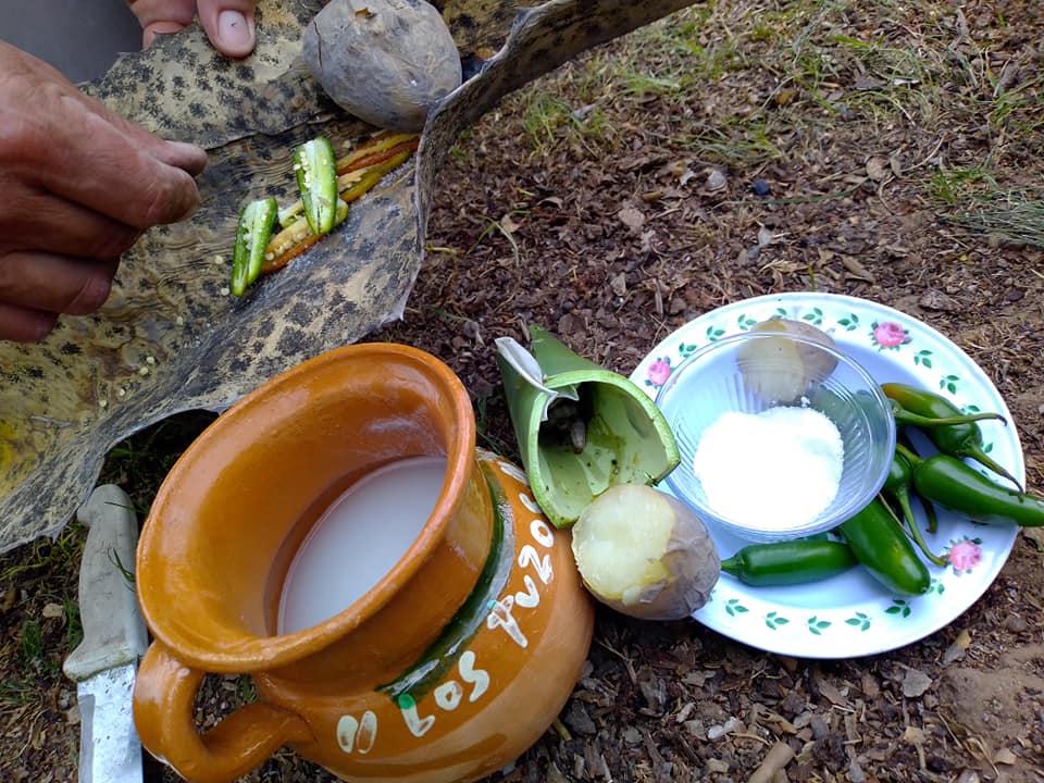 Celebra el día del Pulque en Hidalgo