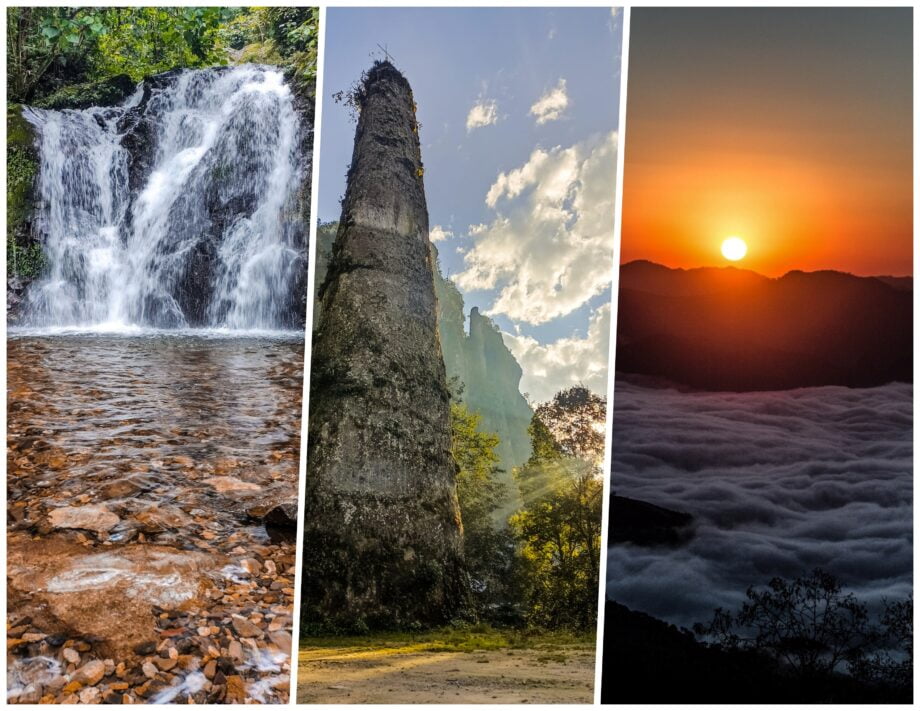 El Cirio, una de las maravillas de la Sierra Otomí-Tepehua